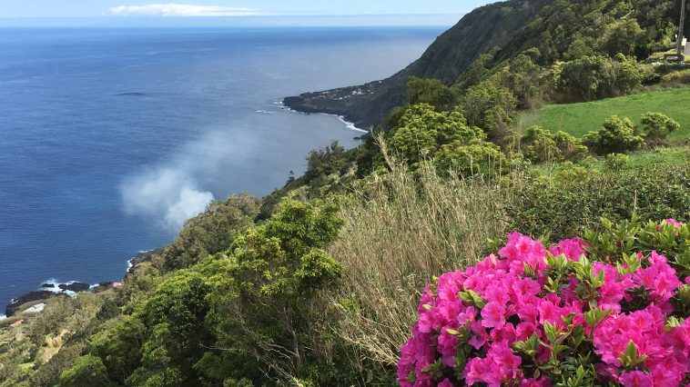 Organic Farming in the Azores | Guide to the Azores