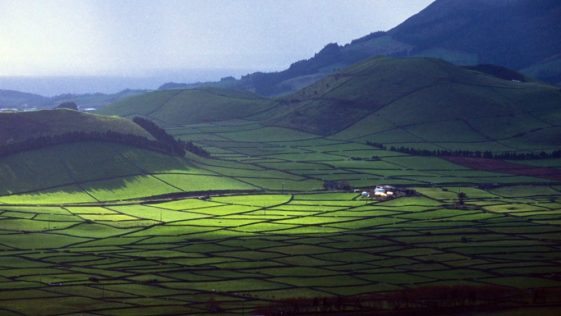 Organic Farming in the Azores | Guide to the Azores
