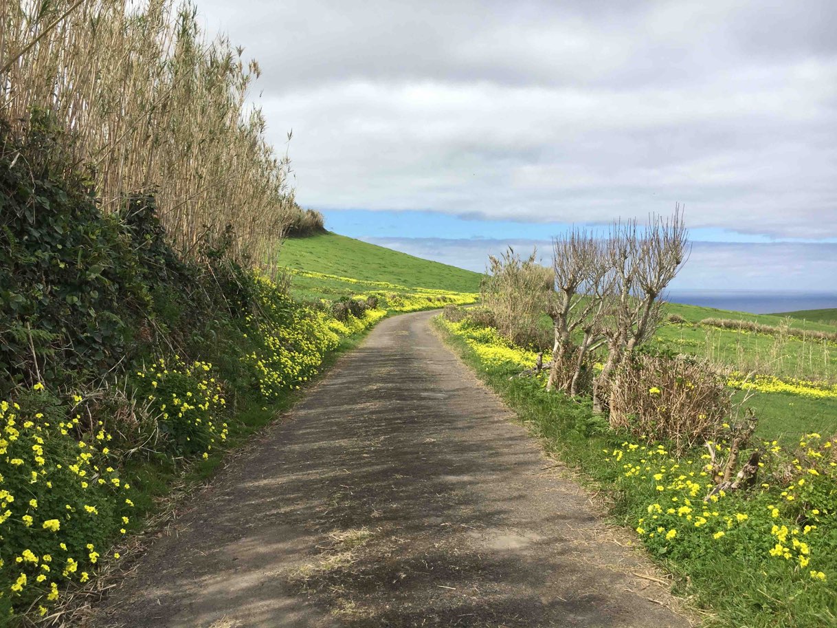 Cycling in the Azores | Guide to The Azores